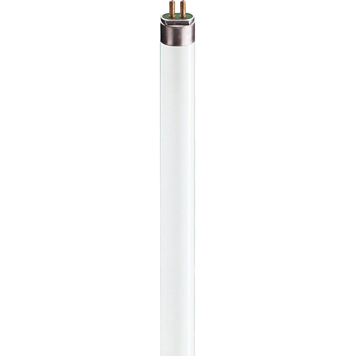 The Light Bulb Shop | Philips MASTER TL5 High Output